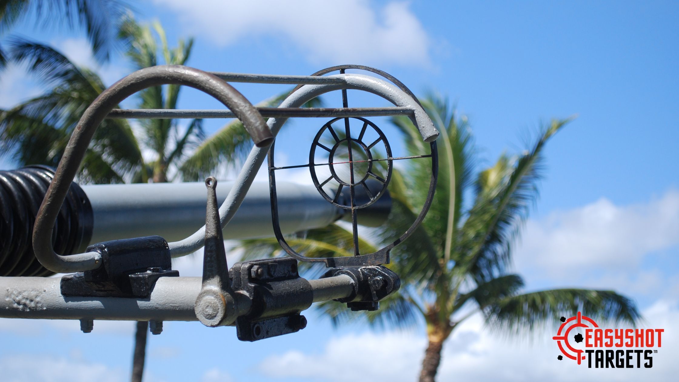 Types of Gun Sights: Which One Should You Choose? – EasyShot Targets